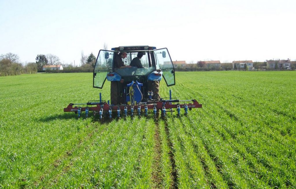 Agro-pastorale – BEDIEDA